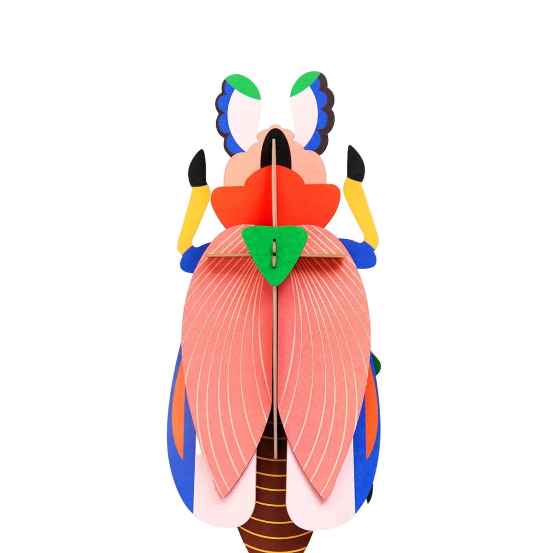 Beetle - Giant Lady Beetle – Cargo Inc.